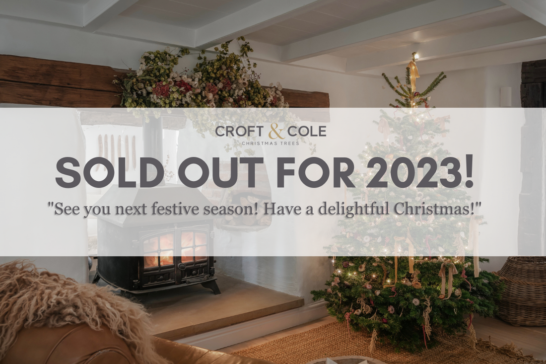 Luxury Real Christmas Trees and Wreaths – Croft & Cole Christmas Trees